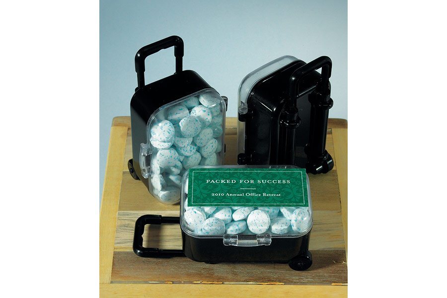 Miniature Travel Trolley with Wheels and Retractable Handle